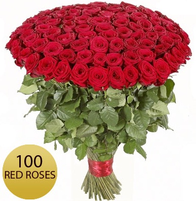 100 red roses | Cheap red roses | Red roses delivery