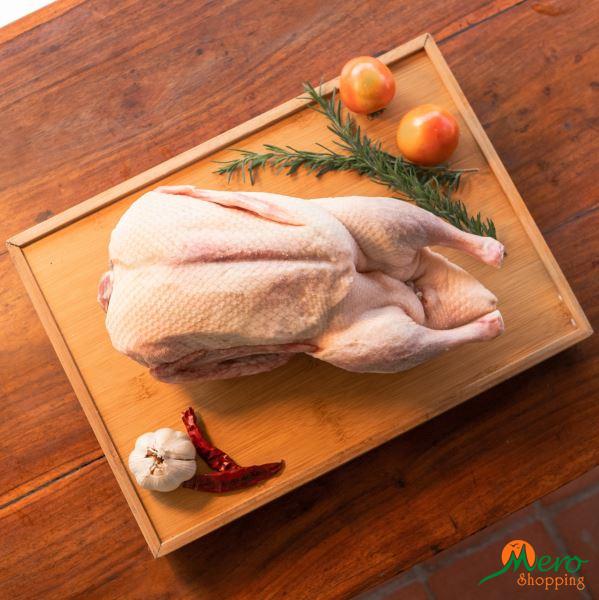Buy Duck Whole frozen at Best Price in Kathmandu,Nepal