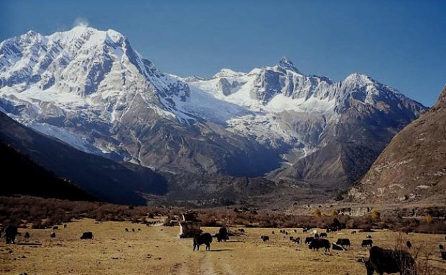 Tsum Valley Trekking | Buy Tsum Valley Trekking Package Online